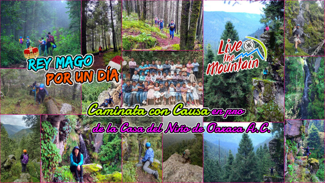 Rey Mago Por Un Día – Caminata con Causa en Pro de la Casa Hogar del ...