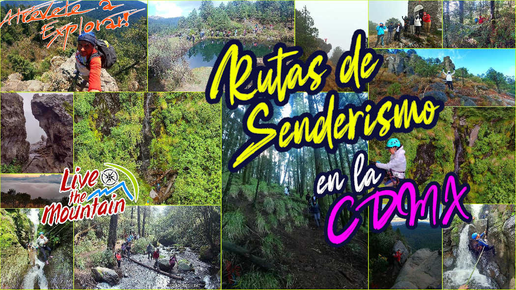 Senderismo CDMX – 10 Rutas para principiantes y más aventureros - Live ...